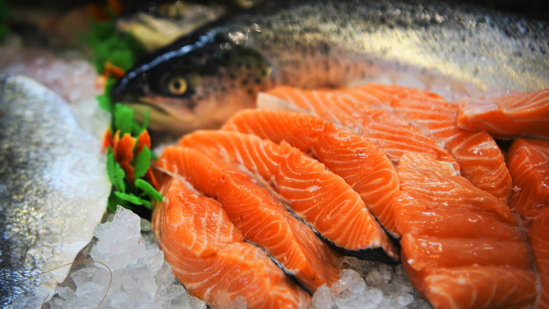 10 Najlepszych Ofert Na Ryby w Radomsku, 2020